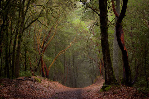 Rocks, woods, views and history at Peninsula preserve