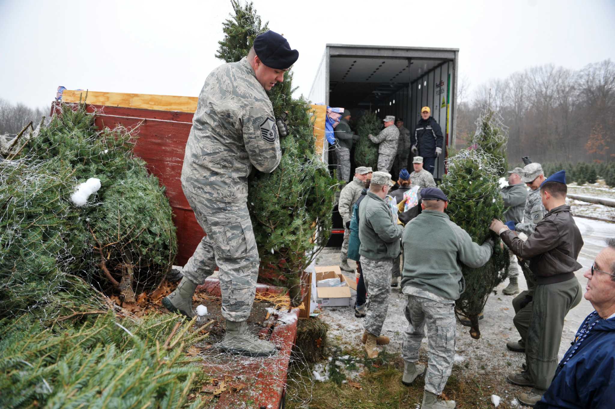 Photos: Trees for Troops
