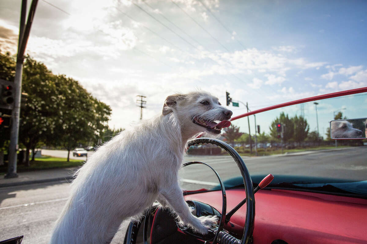 First 'Batmobile' sold at auction for $137K