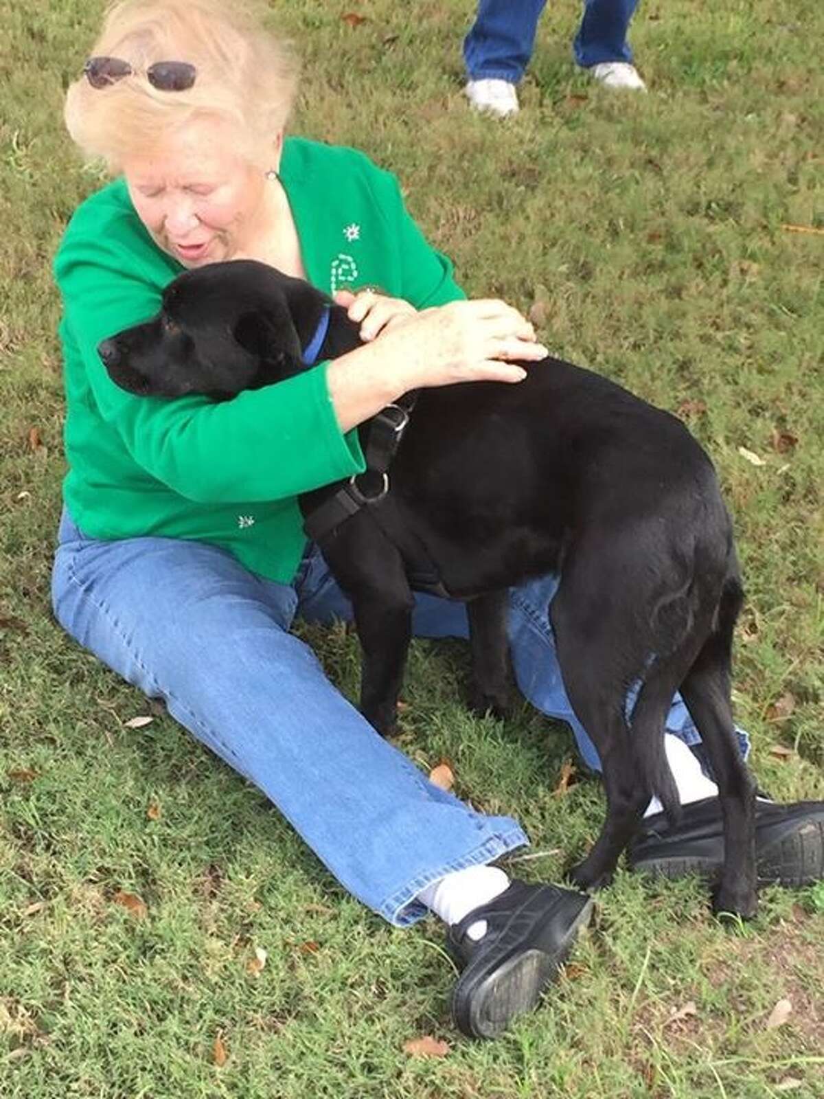 Lost in New Mexico, Bobo finally comes home