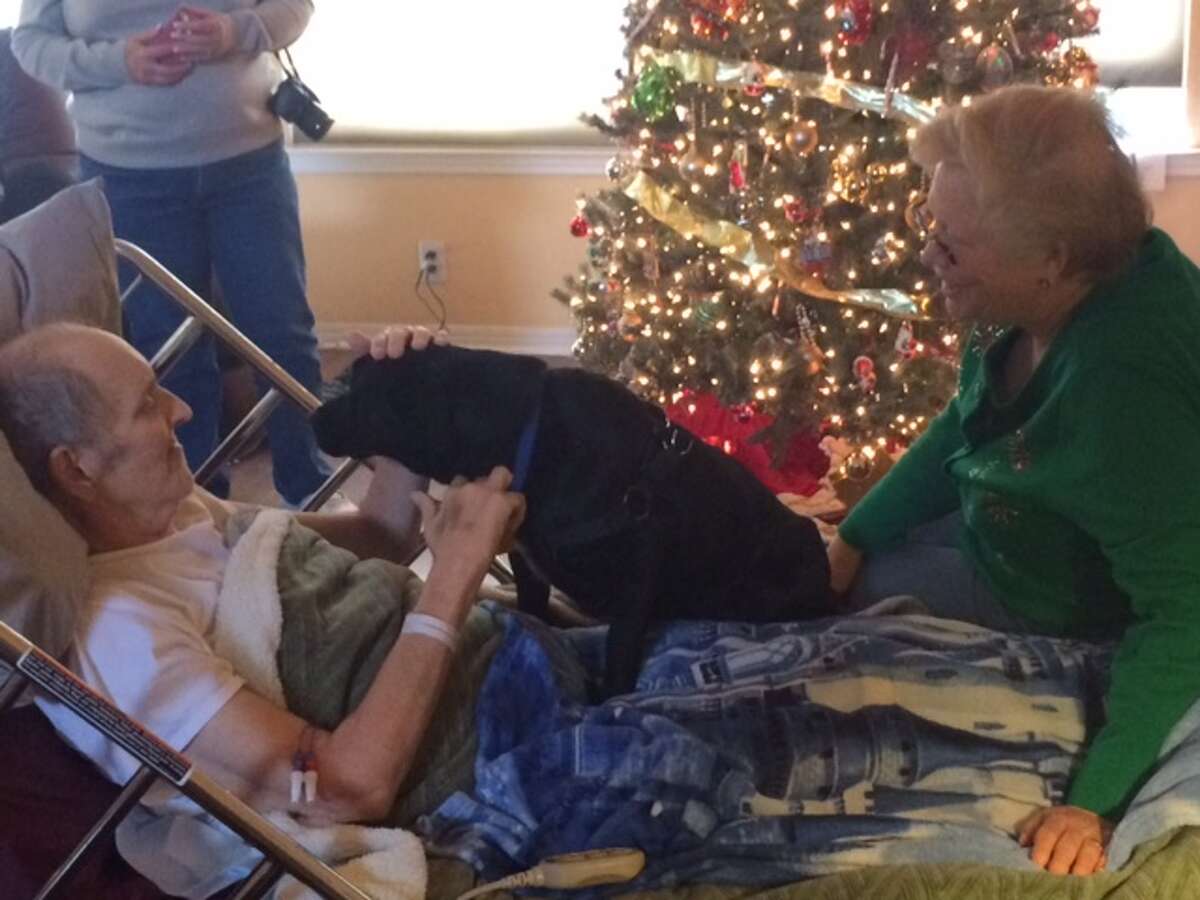 Lost in New Mexico, Bobo finally comes home