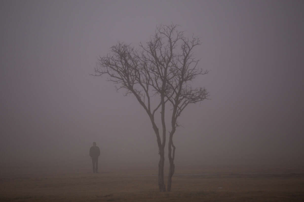 Crazy Dallas fog makes for spectacular photos