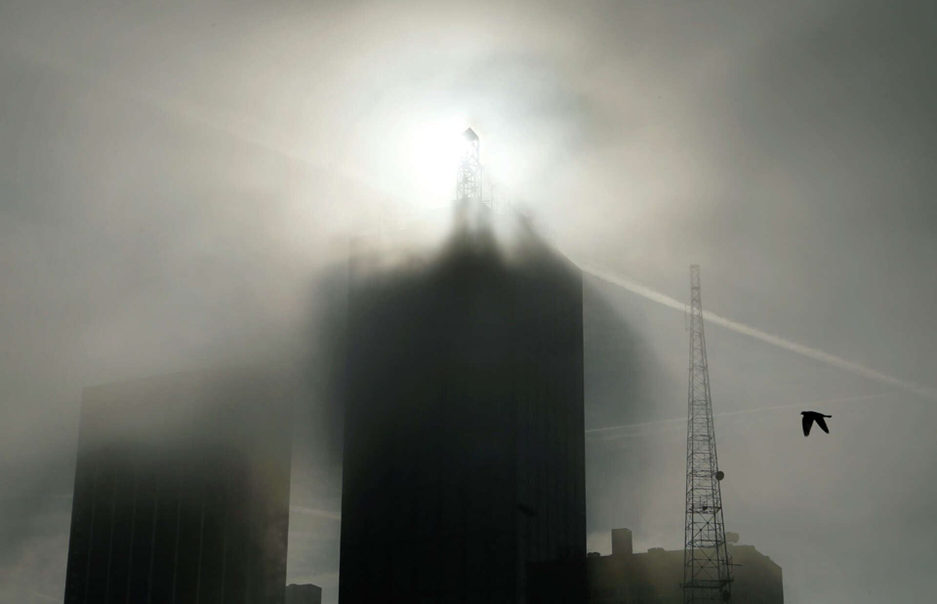 Crazy Dallas fog makes for spectacular photos