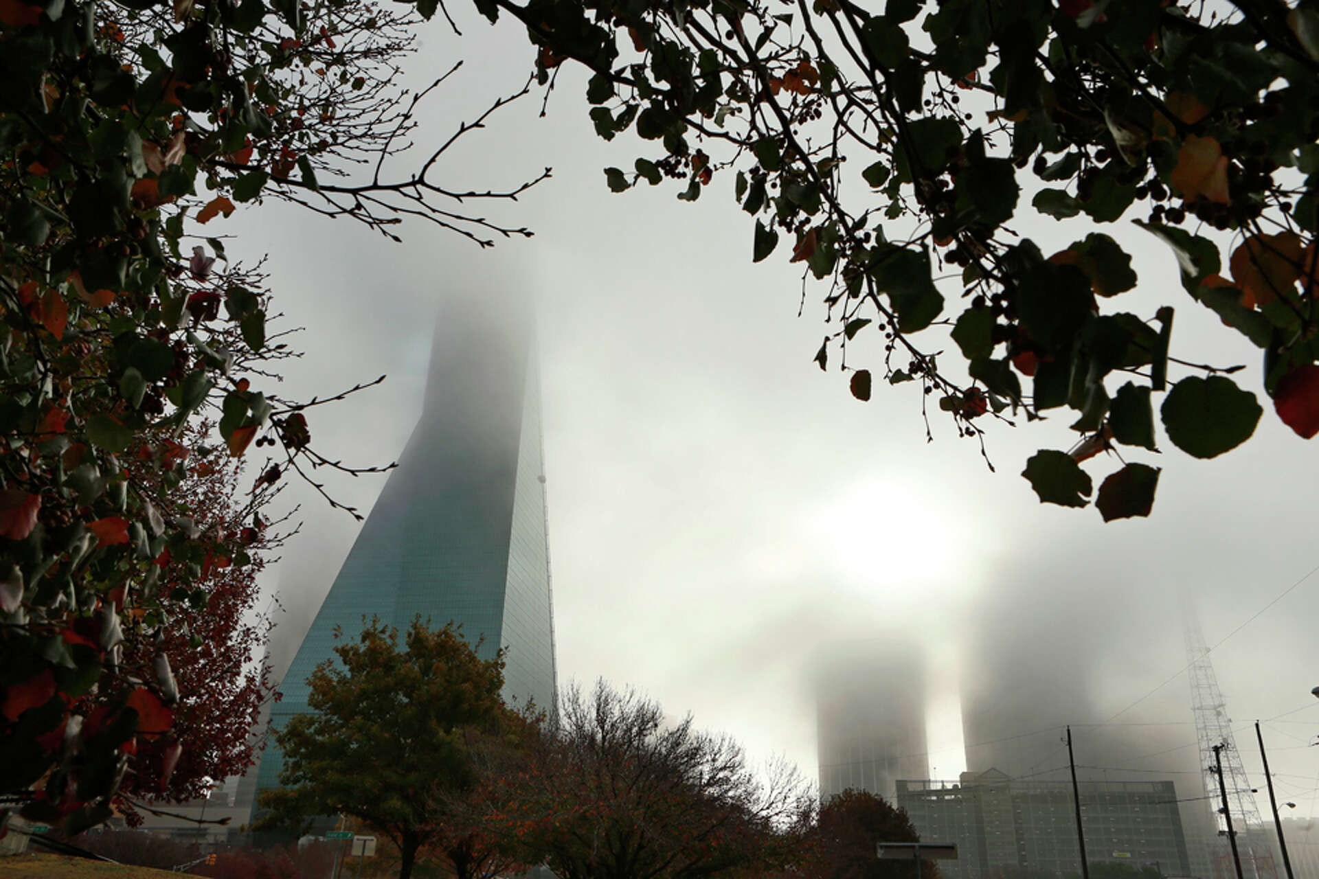 Crazy Dallas fog makes for spectacular photos