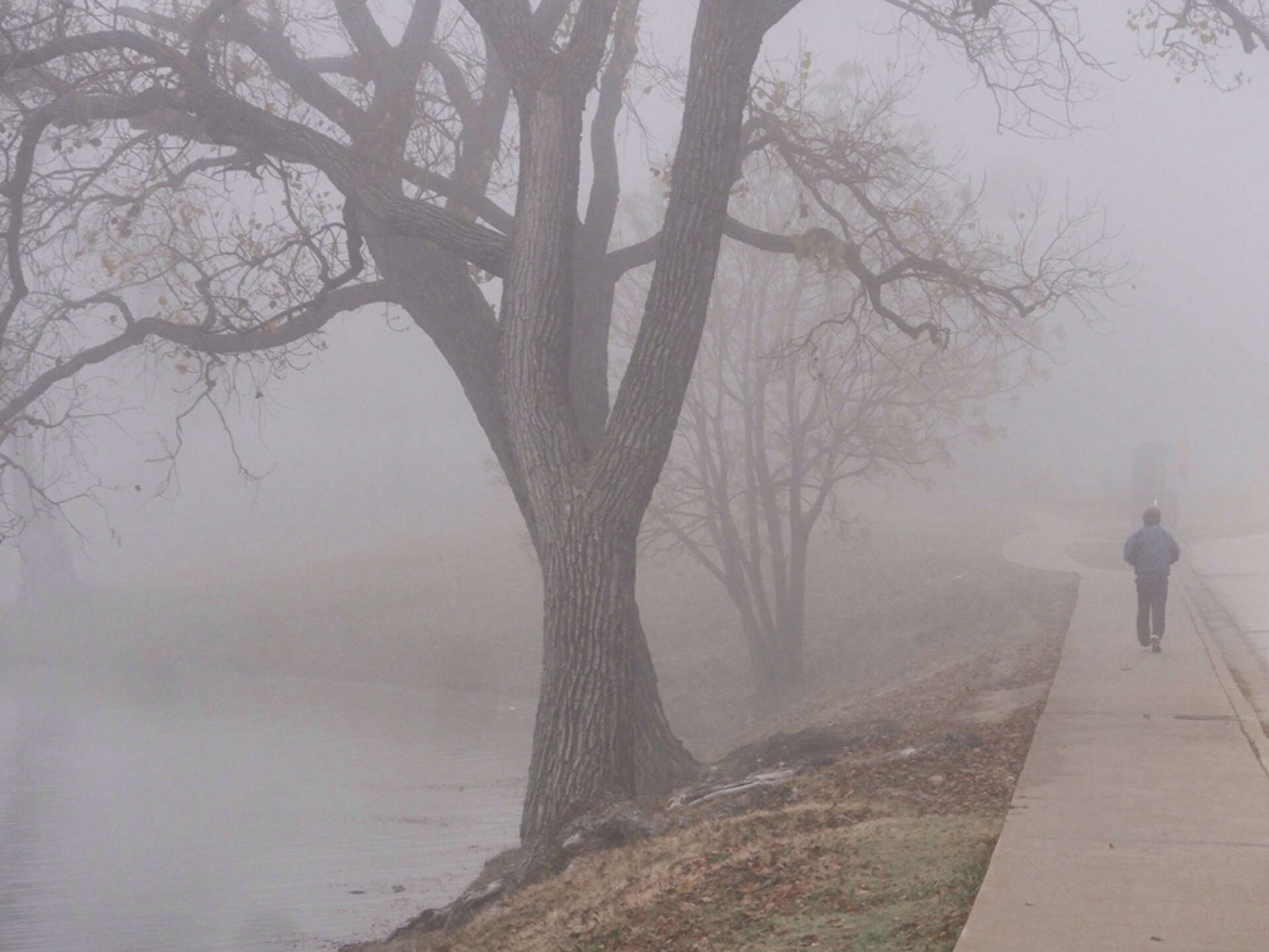 Crazy Dallas fog makes for spectacular photos