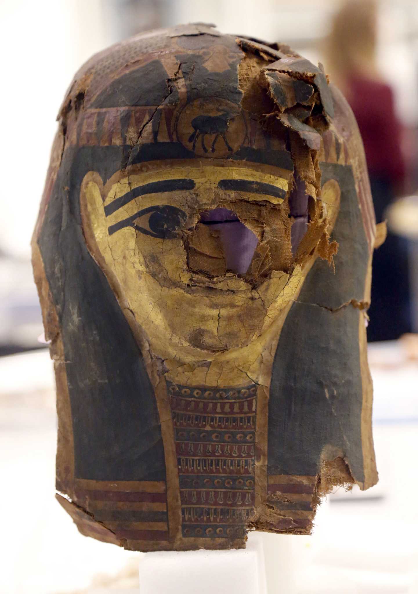 Mummy coffin open by scientists