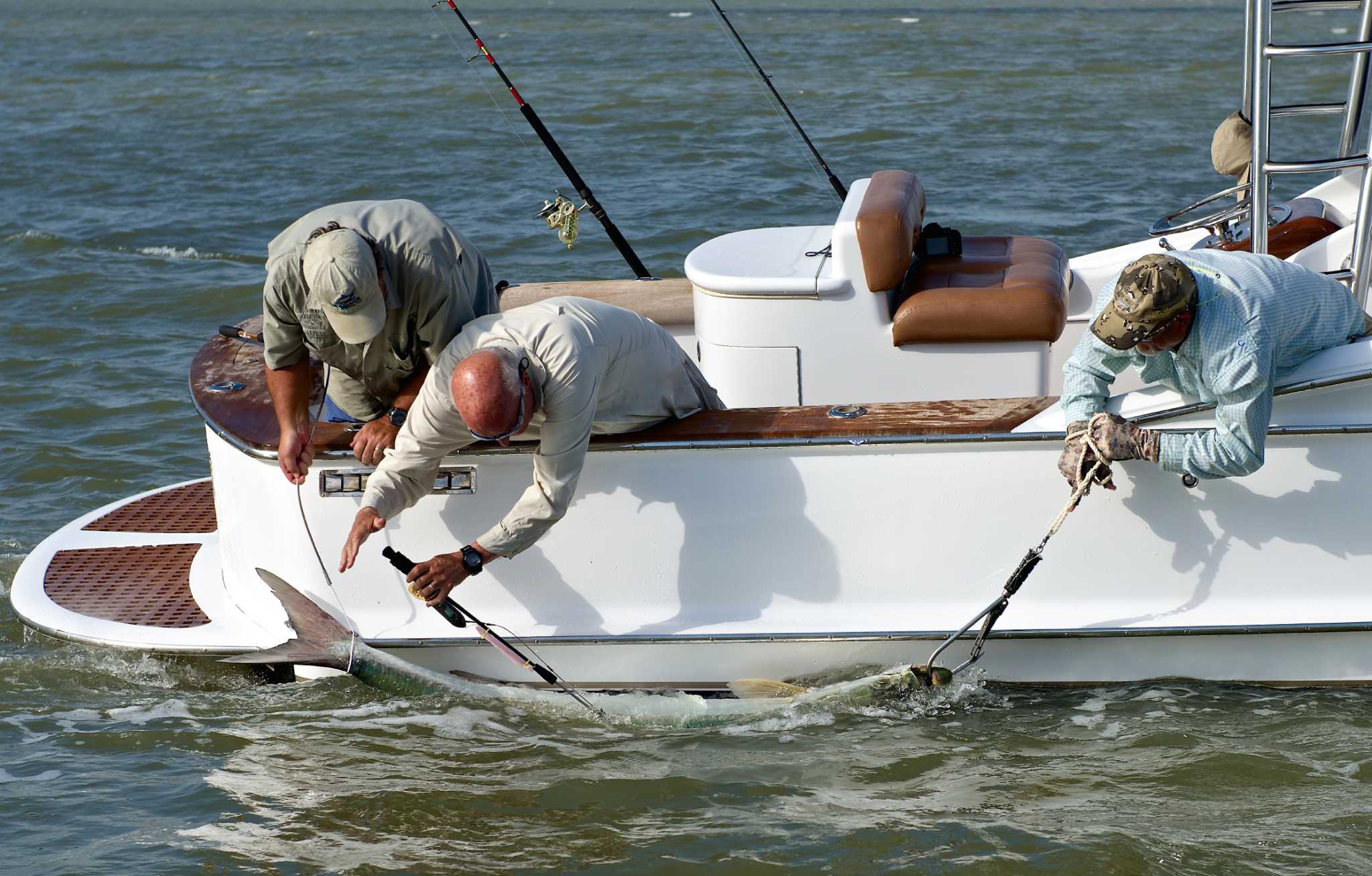 Tarpon research goes high-, low-tech