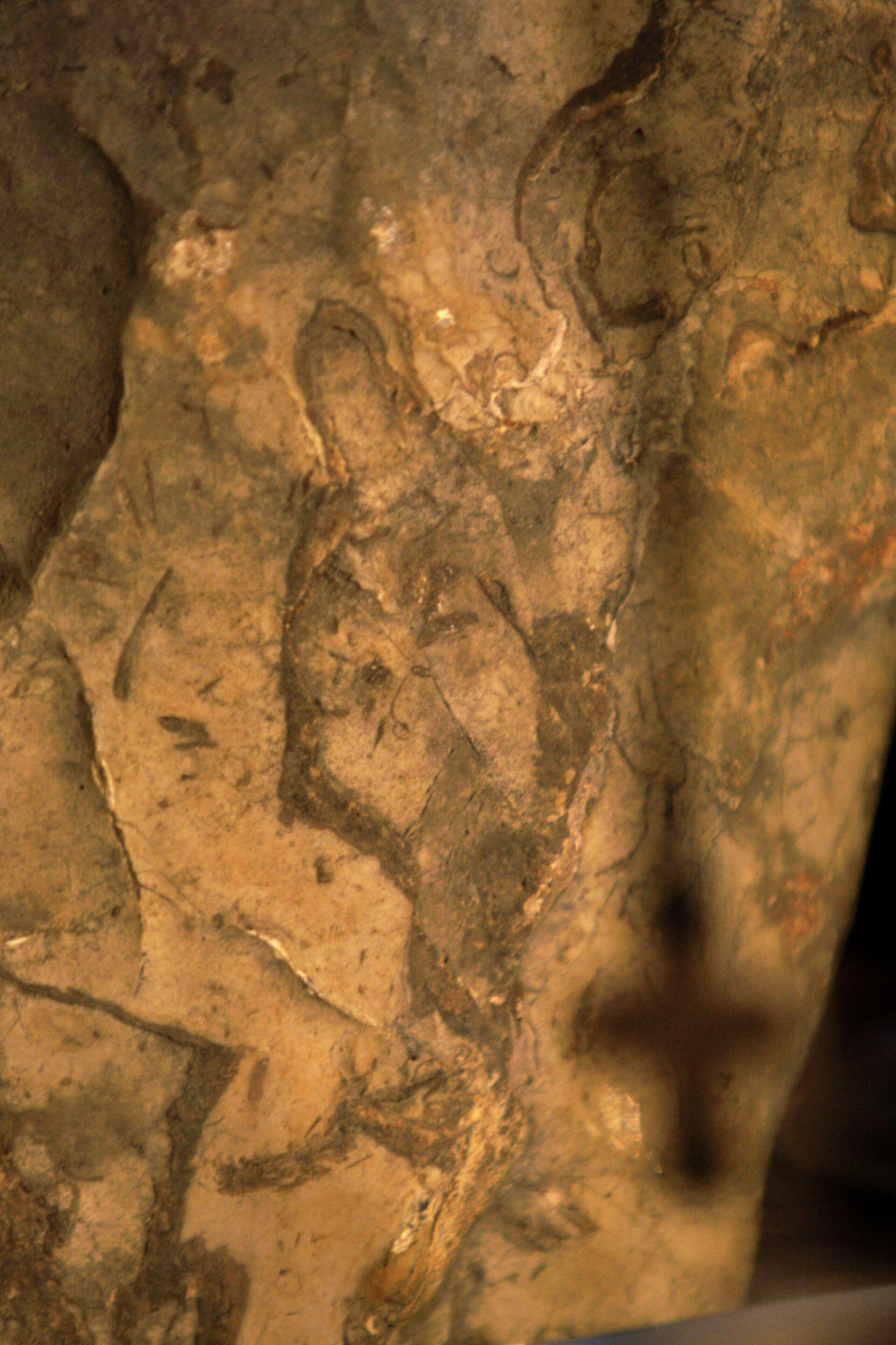 In 1969, screen-door Jesus incited religious fervor in Port Neches