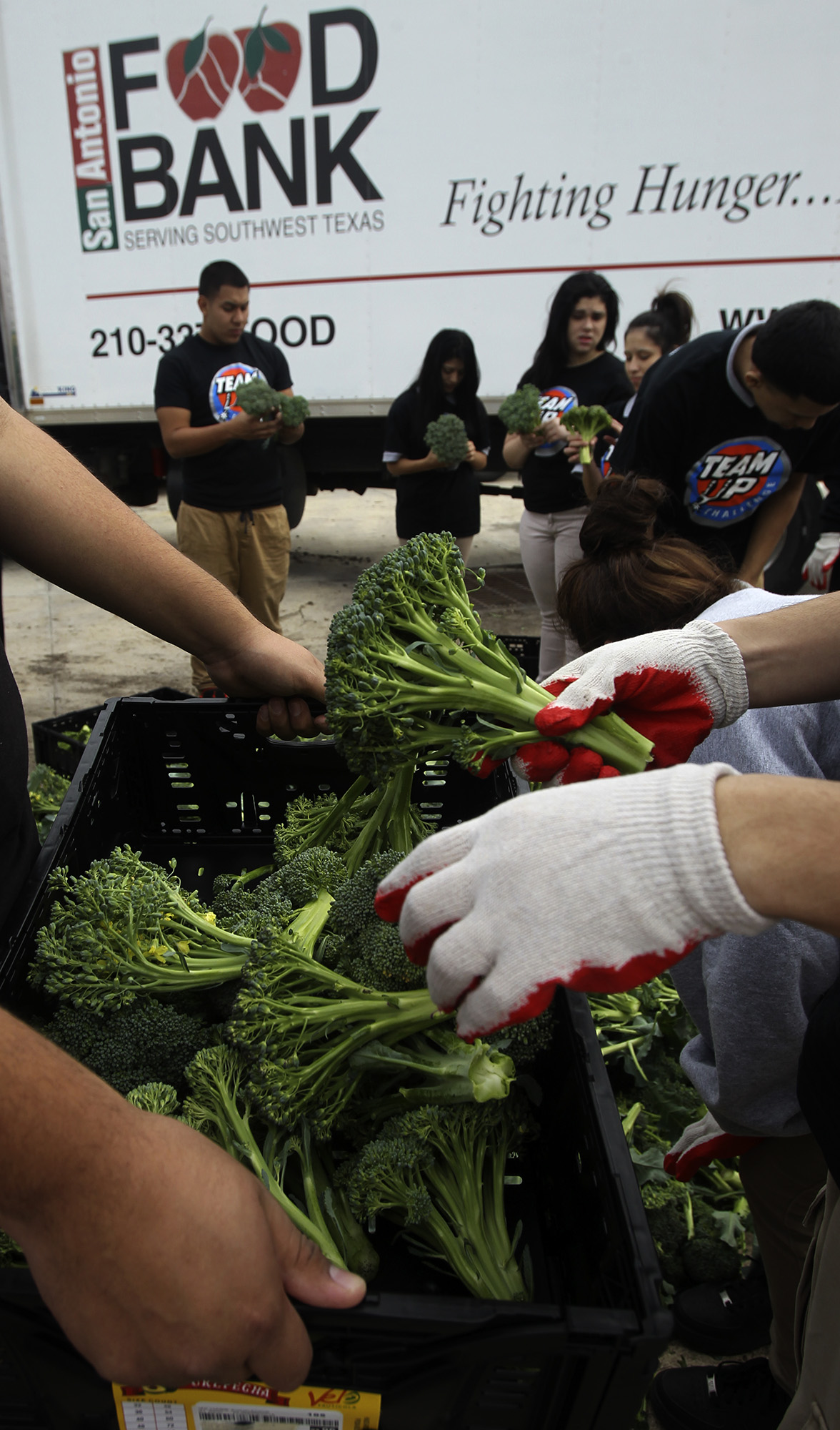Sow, Grow, Savor: Food Bank garden