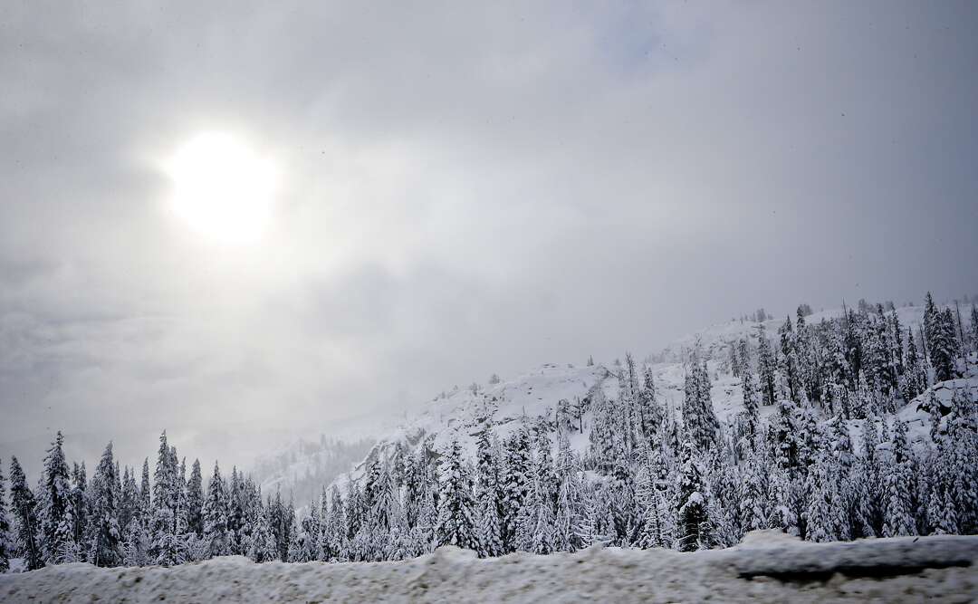 What happened to the survivors of the Donner Party?