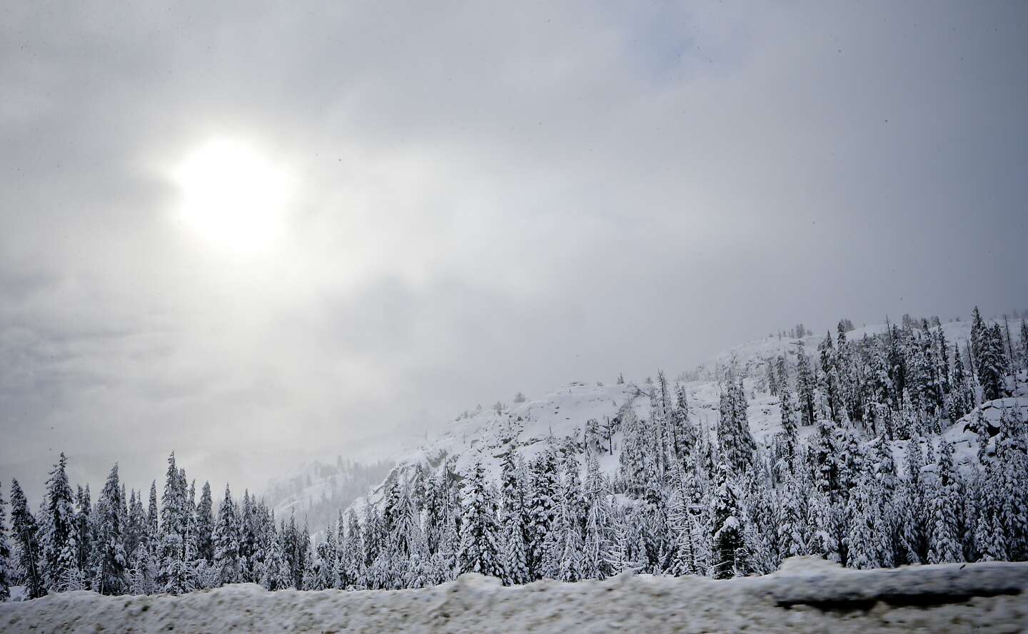 What happened to the survivors of the Donner Party?