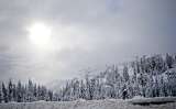 What happened to the survivors of the Donner Party?