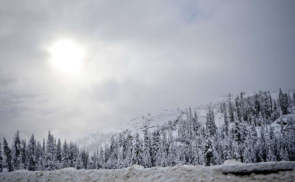 What happened to the survivors of the Donner Party?