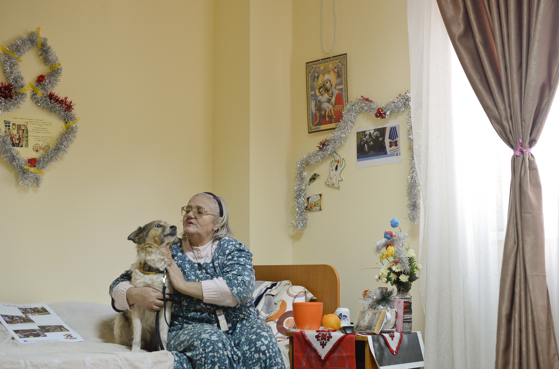 Stray dogs transform lives of Bucharest elderly