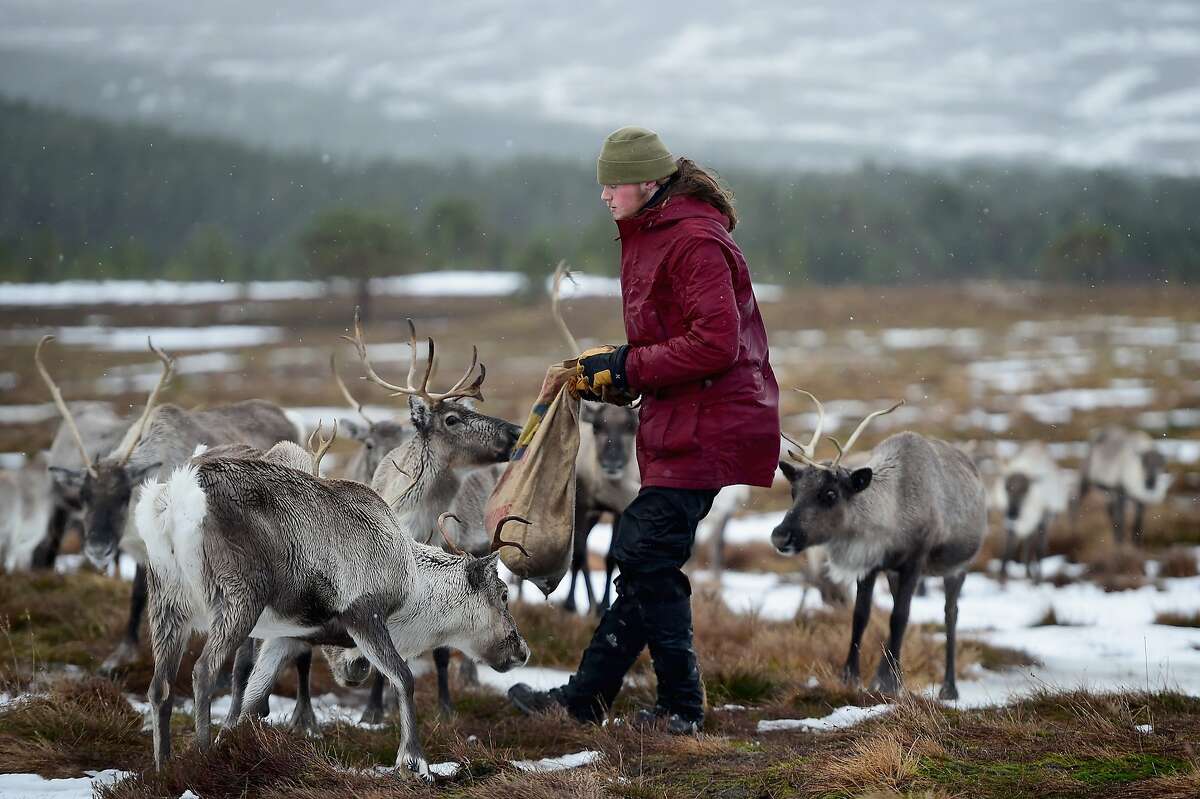 Scientists discover new shape — the 'scutoid'