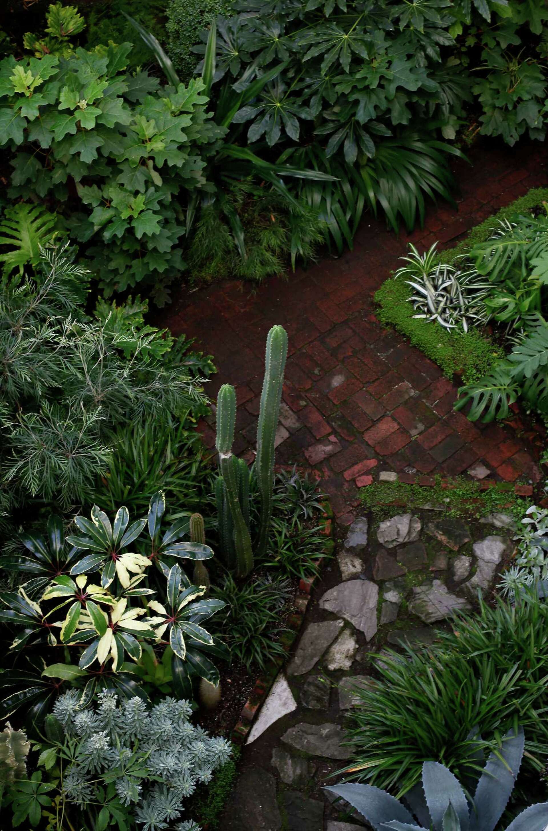 Simple, stunning home garden thrives with sculptural touch