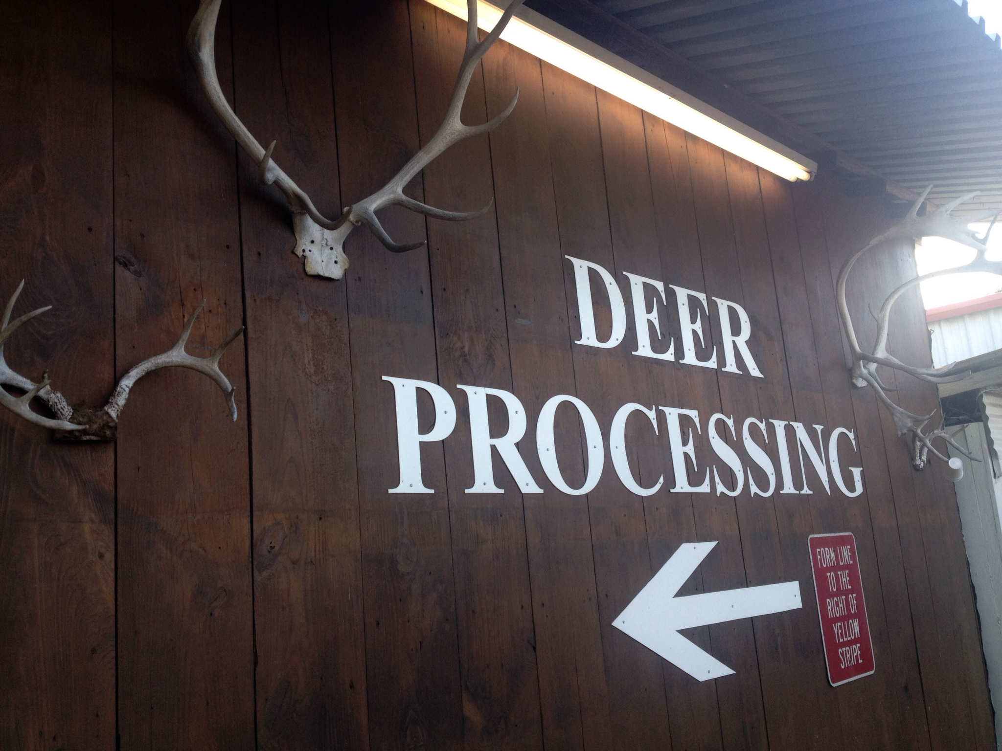 Sign Language: The split personality of the deer processer