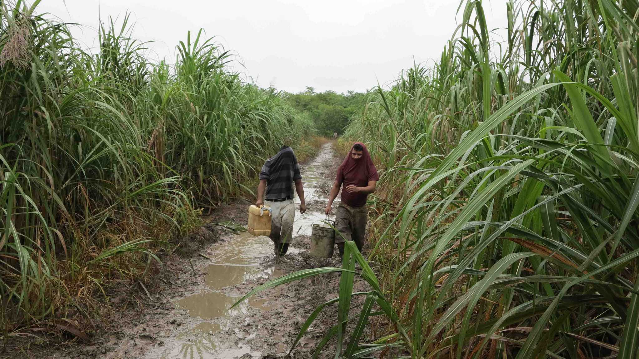 Mexican gasoline thieves steal $1B from Pemex every year