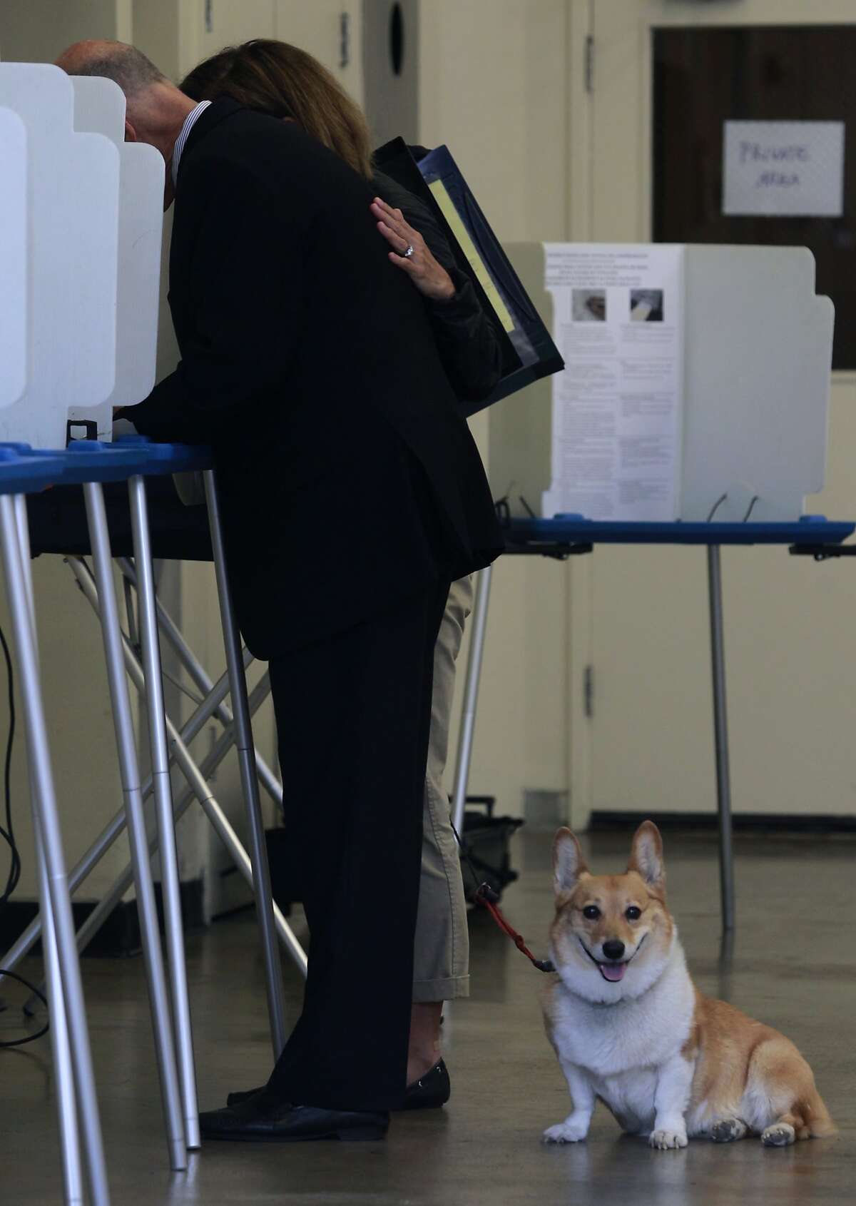 Chronicle photo staff's best images of 2014