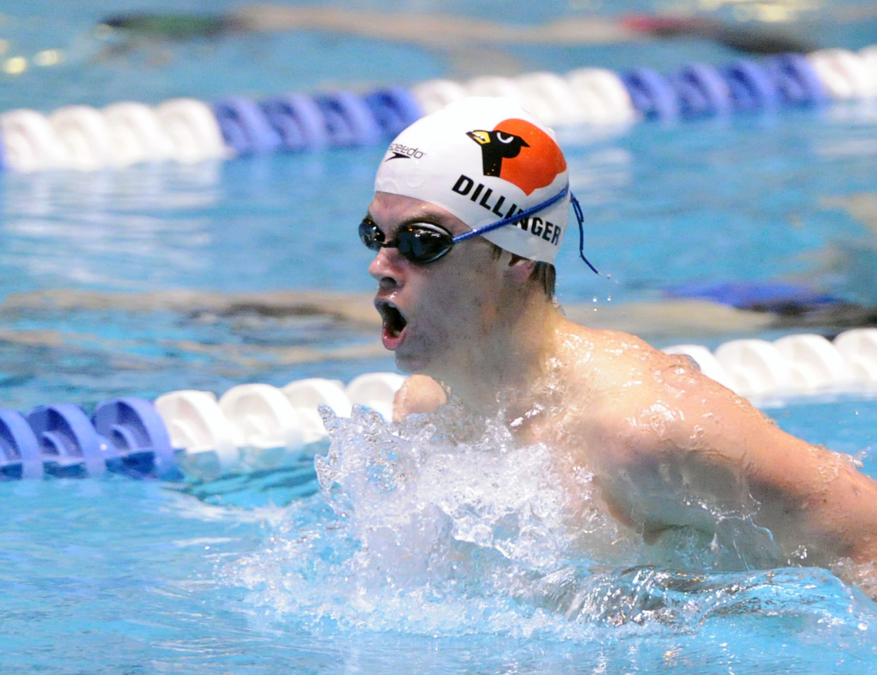 Greenwich boys swim team poised for another memorable season
