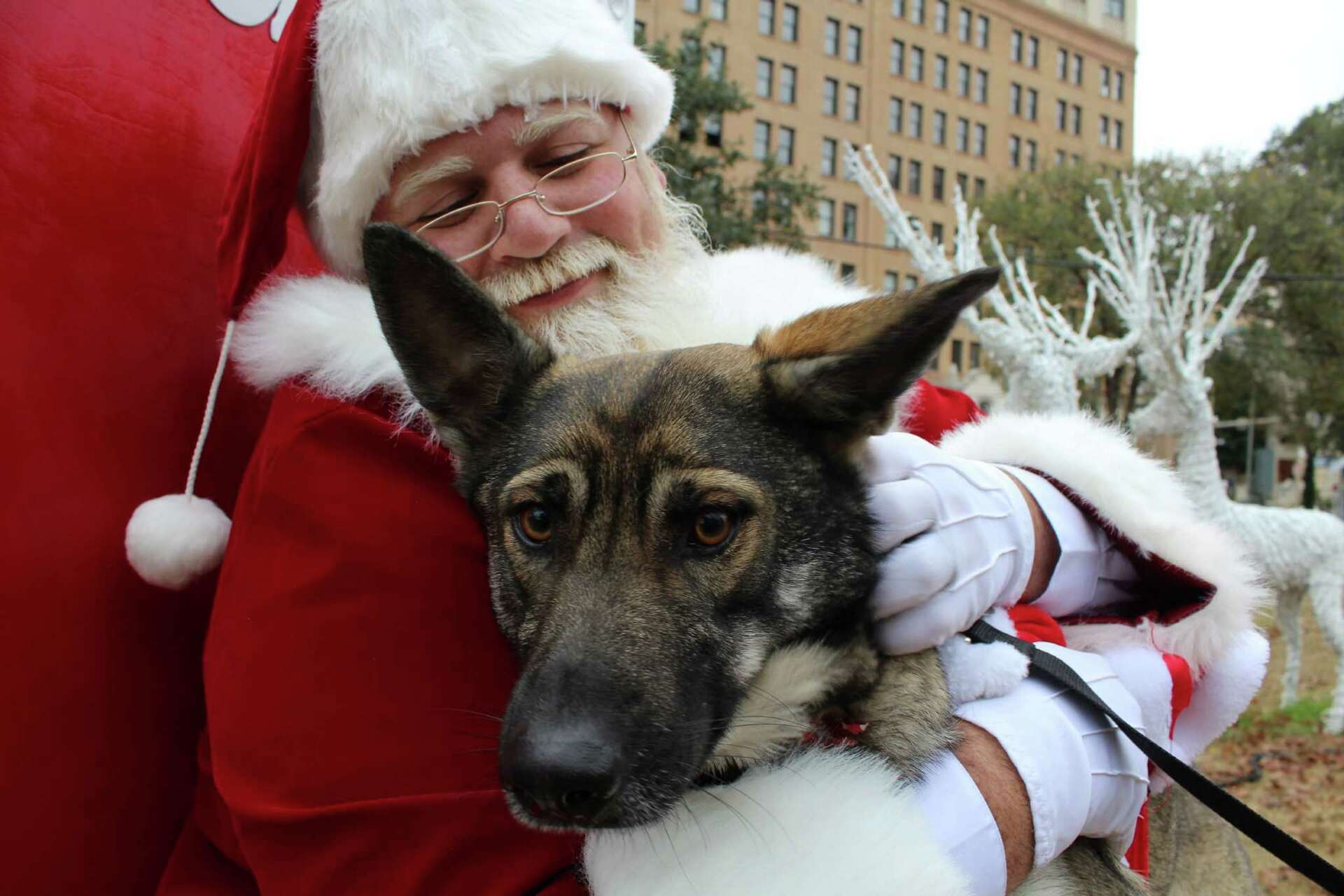 A select guide to San Antonio's 2015 holiday events