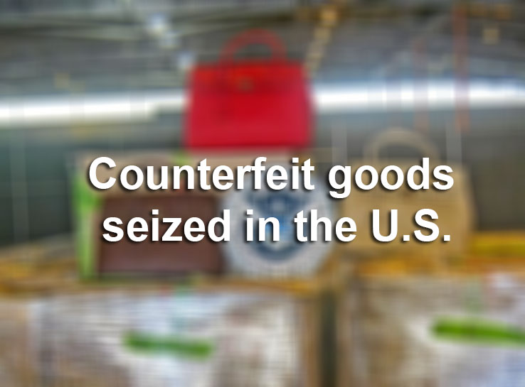 Counterfeit goods seized by Customs and Border Patrol.