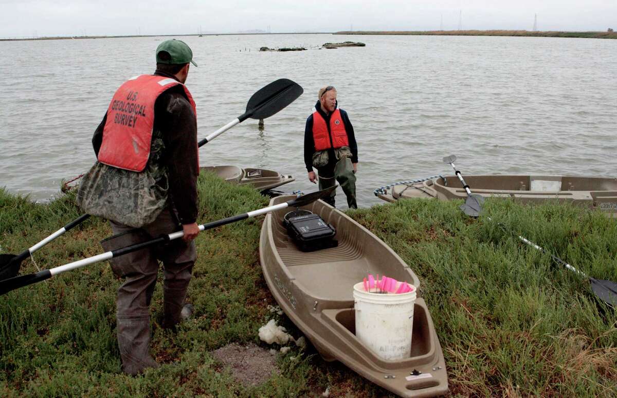 Chemicals’ phaseout a 'success story’ for S.F. Bay wildlife