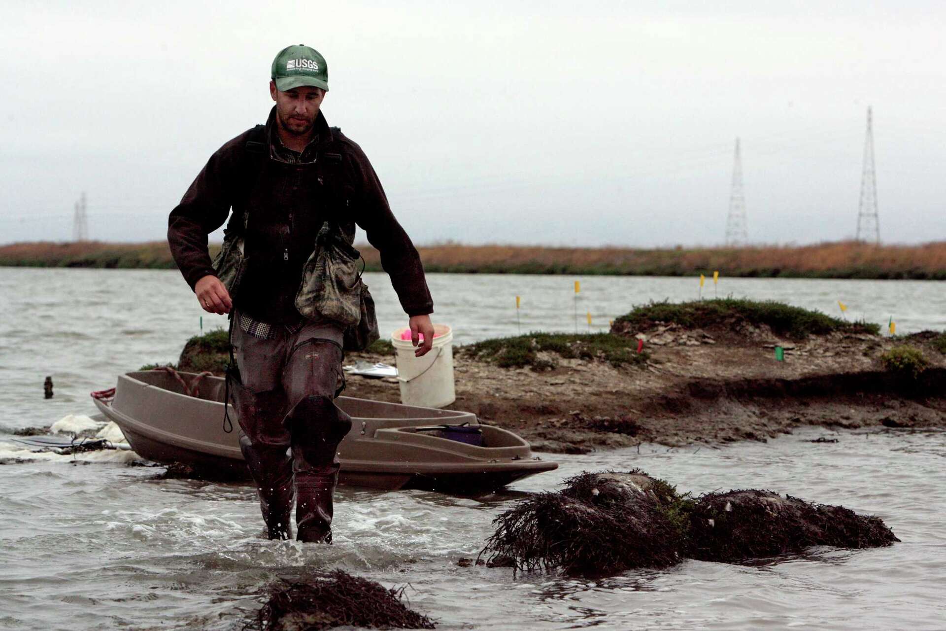 Chemicals’ phaseout a 'success story’ for S.F. Bay wildlife