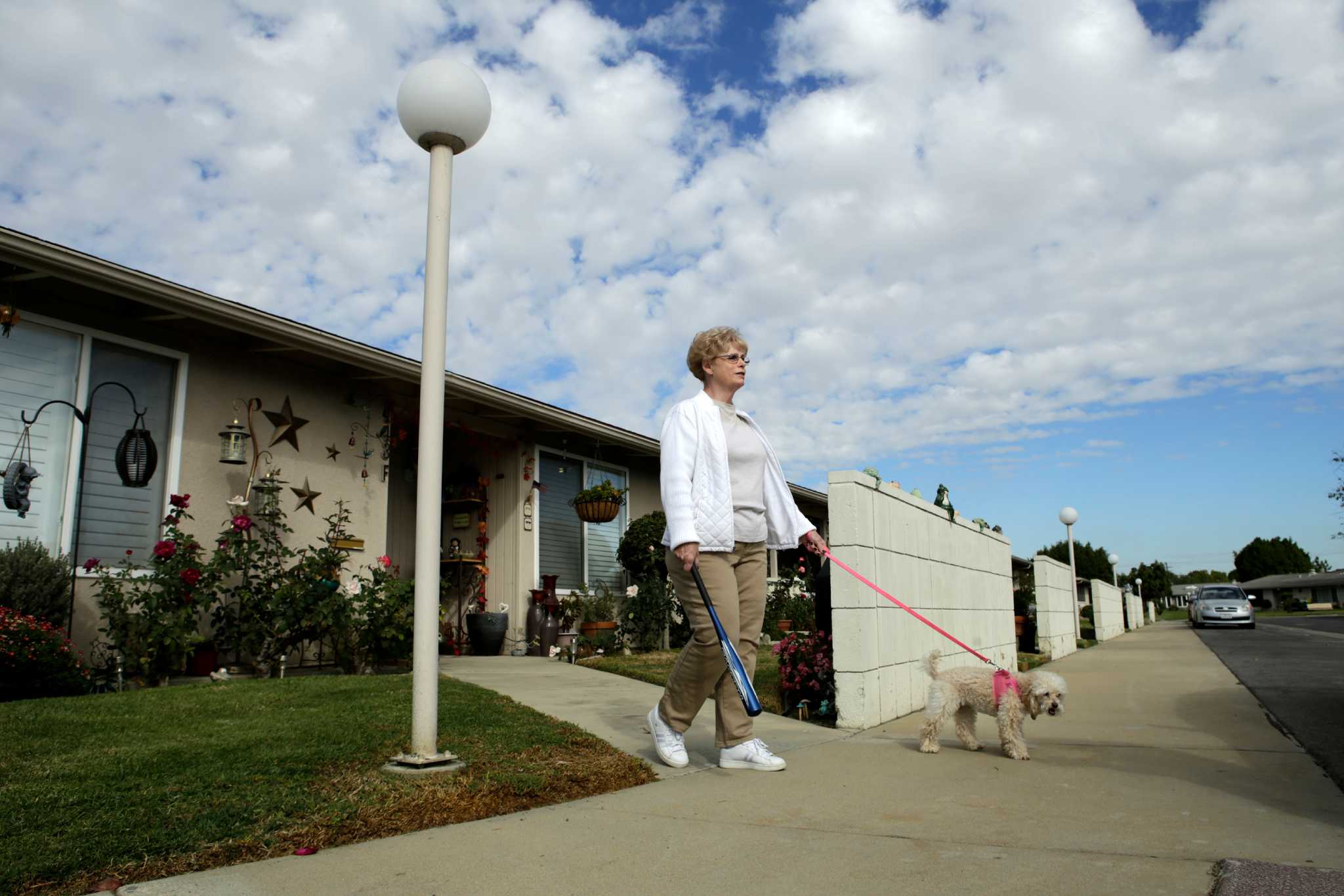 Some seek more humane approach in war against coyotes