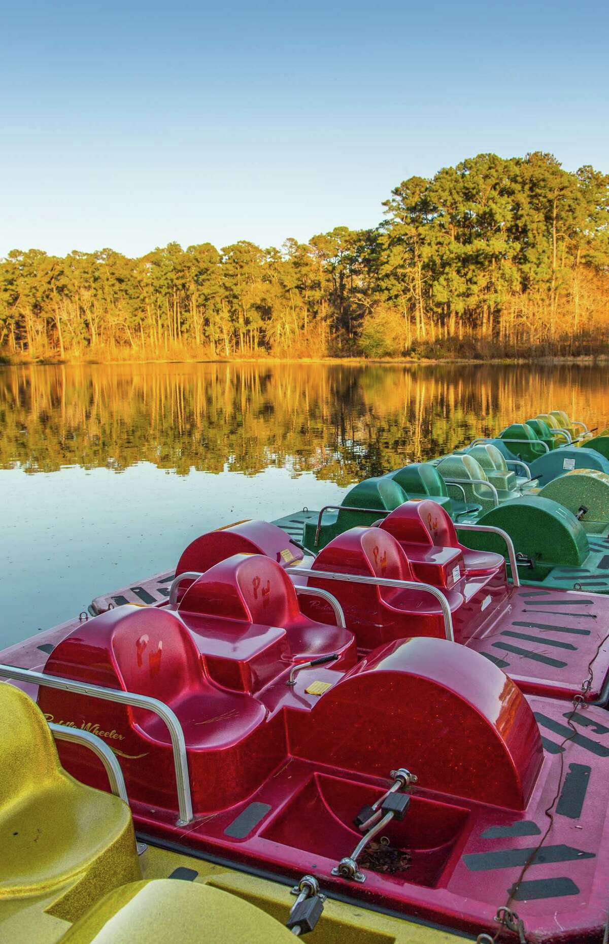 Houston area is home to great spots to see birds