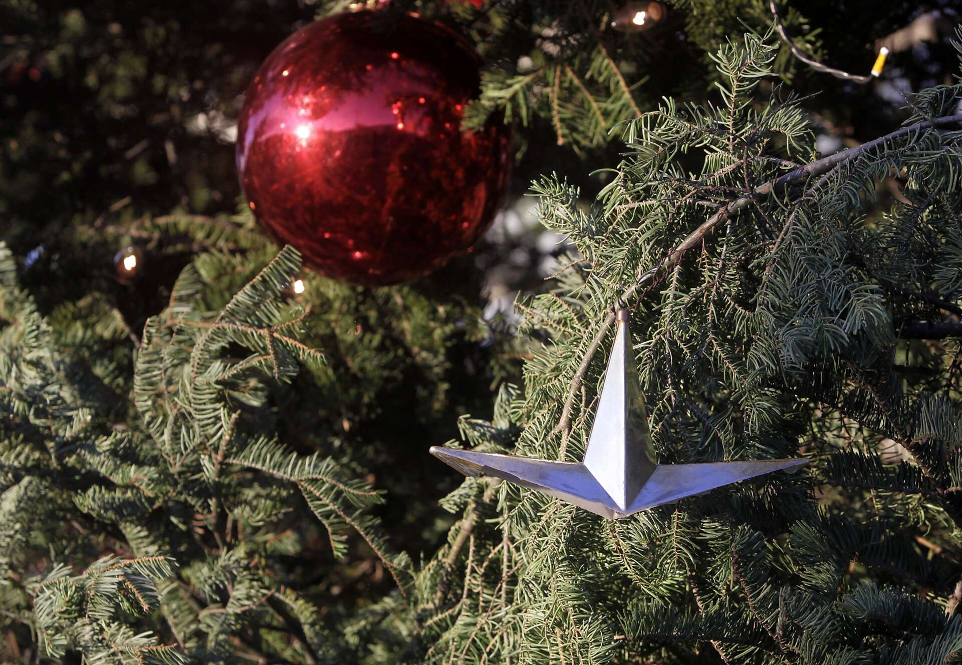 Oakland police protesters smash windows, vandalize Christmas tree