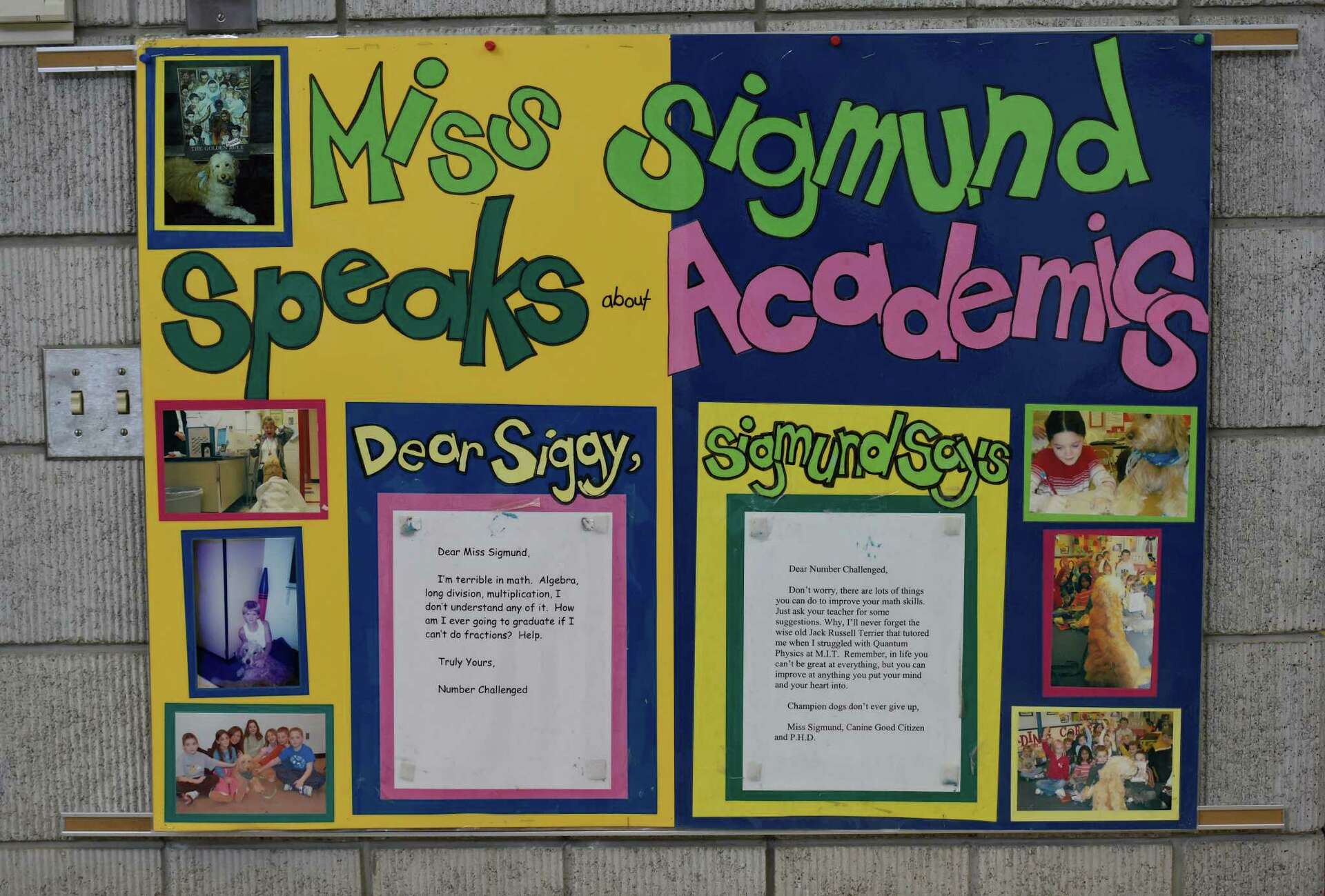 Wagging tails brighten school