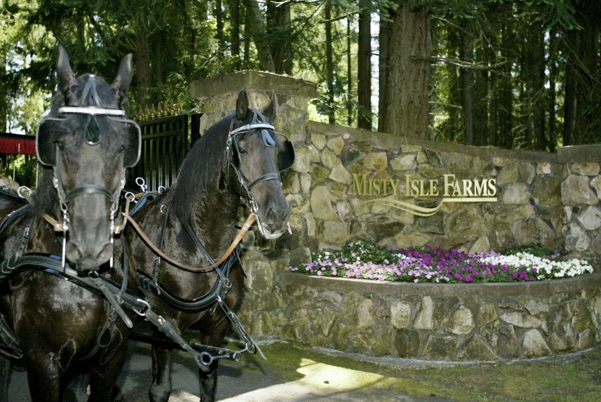 Misty Isle Farms on sale for $43 million