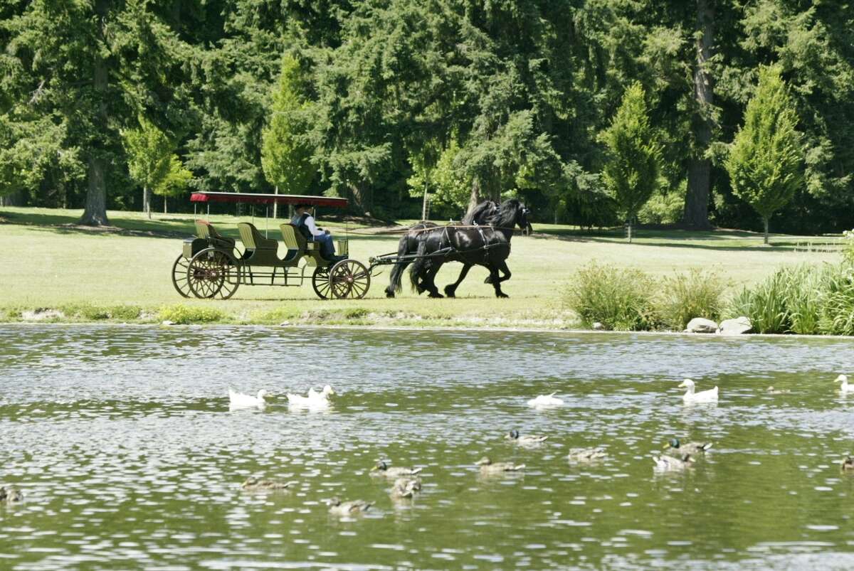 Misty Isle Farms on sale for $43 million