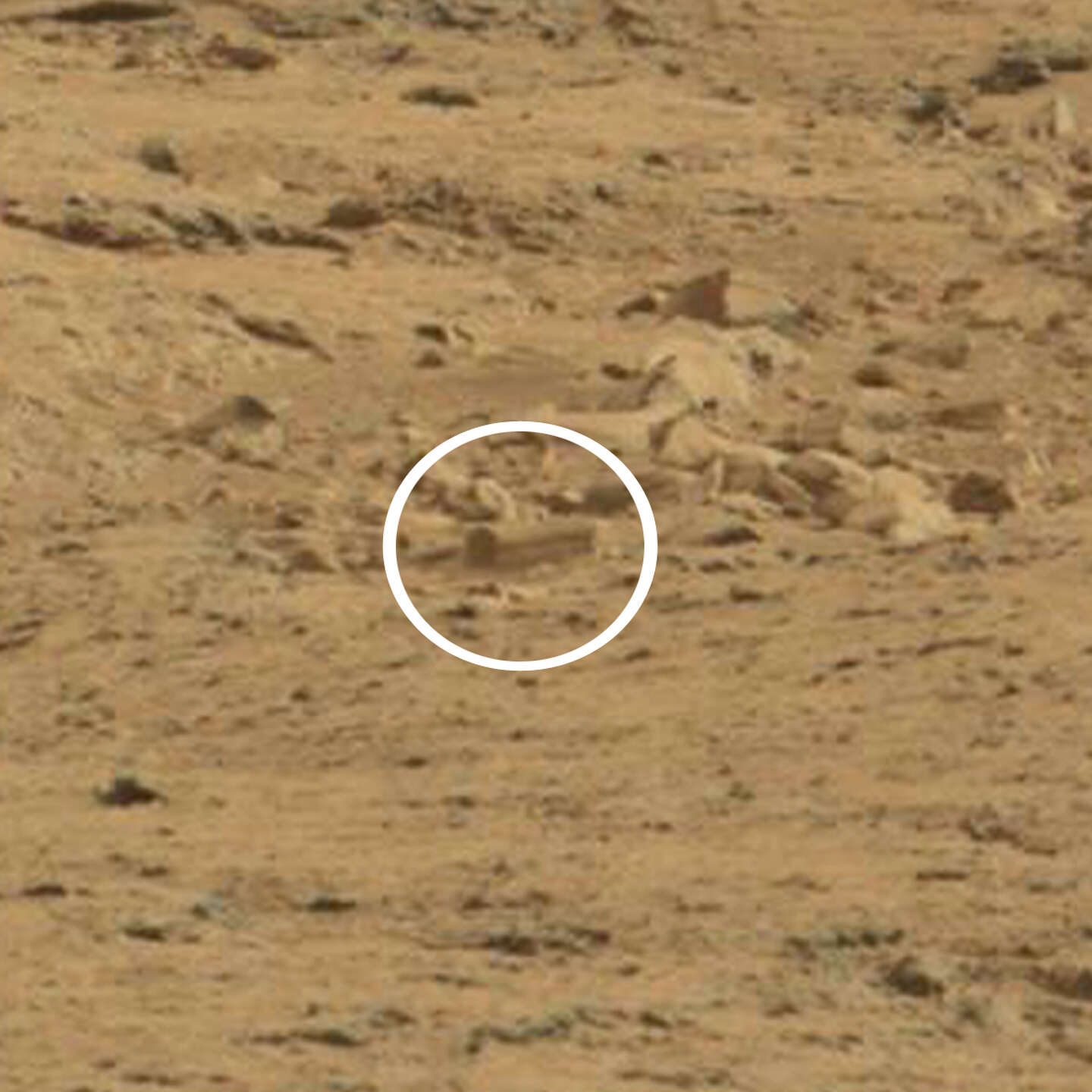 Shadow of man on Mars seen in NASA rover photo