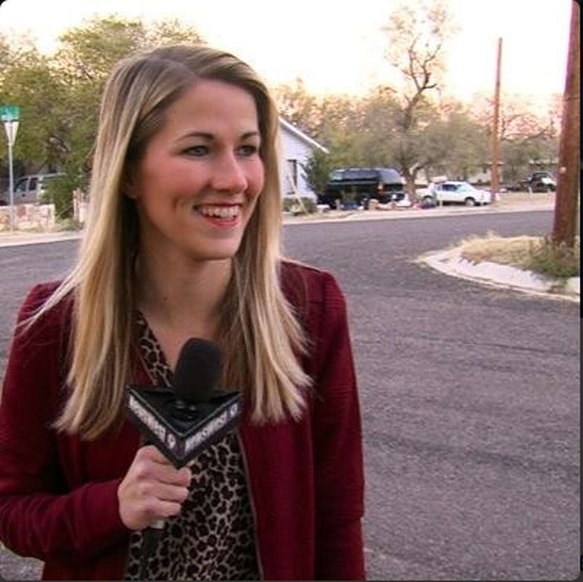 Texas TV reporter proposed to after 'Alphabet Aerobics' rap video goes ...