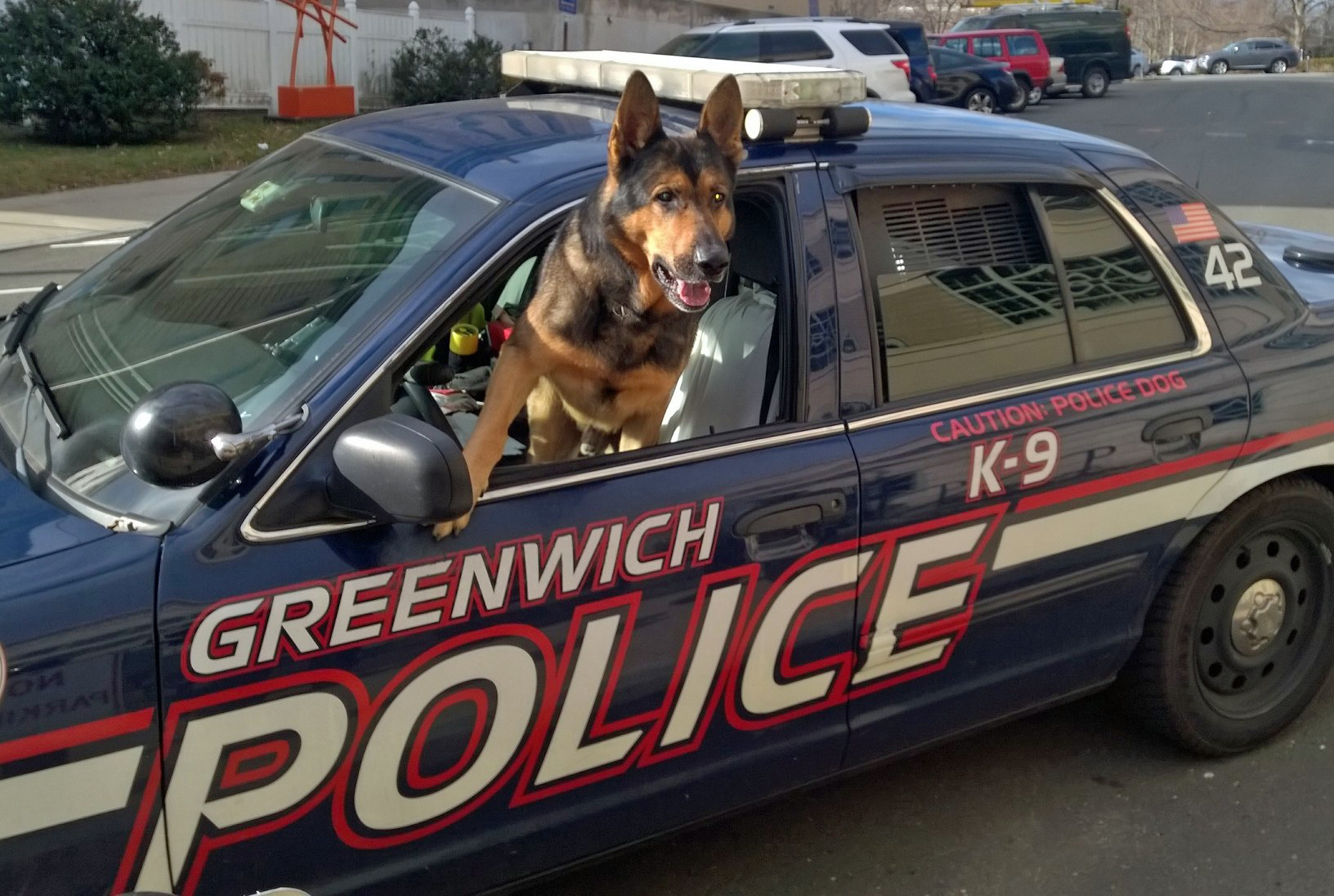Greenwich Police honor K9 team on canine Tyro's retirement