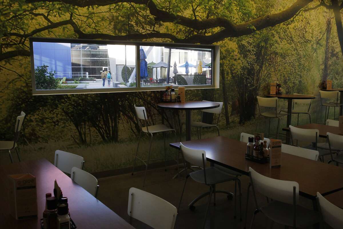 Office Space: Google’s campus feels as big as the Internet itself