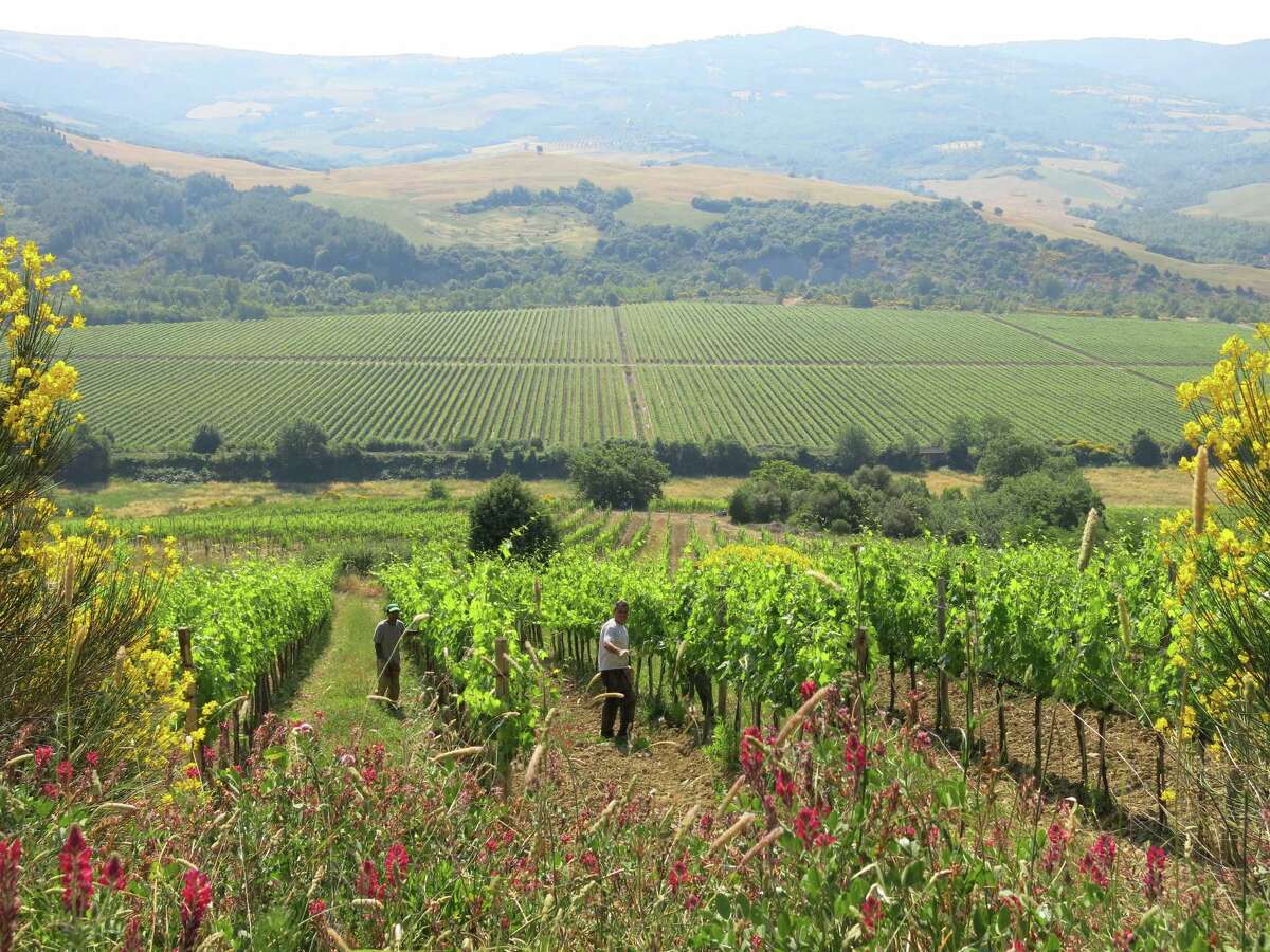 Walking Italy: A picturesque way to see Tuscany