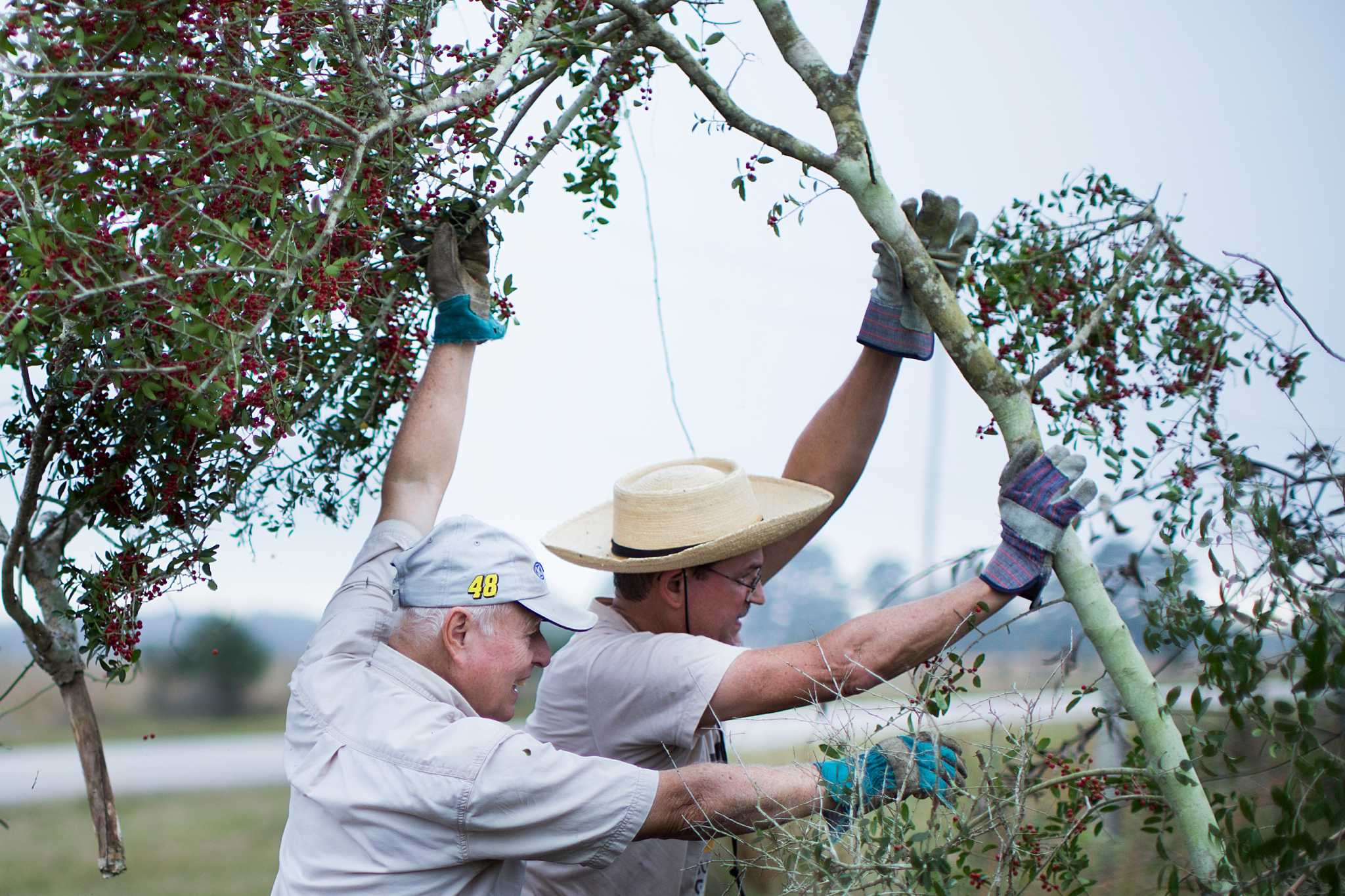 Books, reports are tools in activist's fight to preserve nature