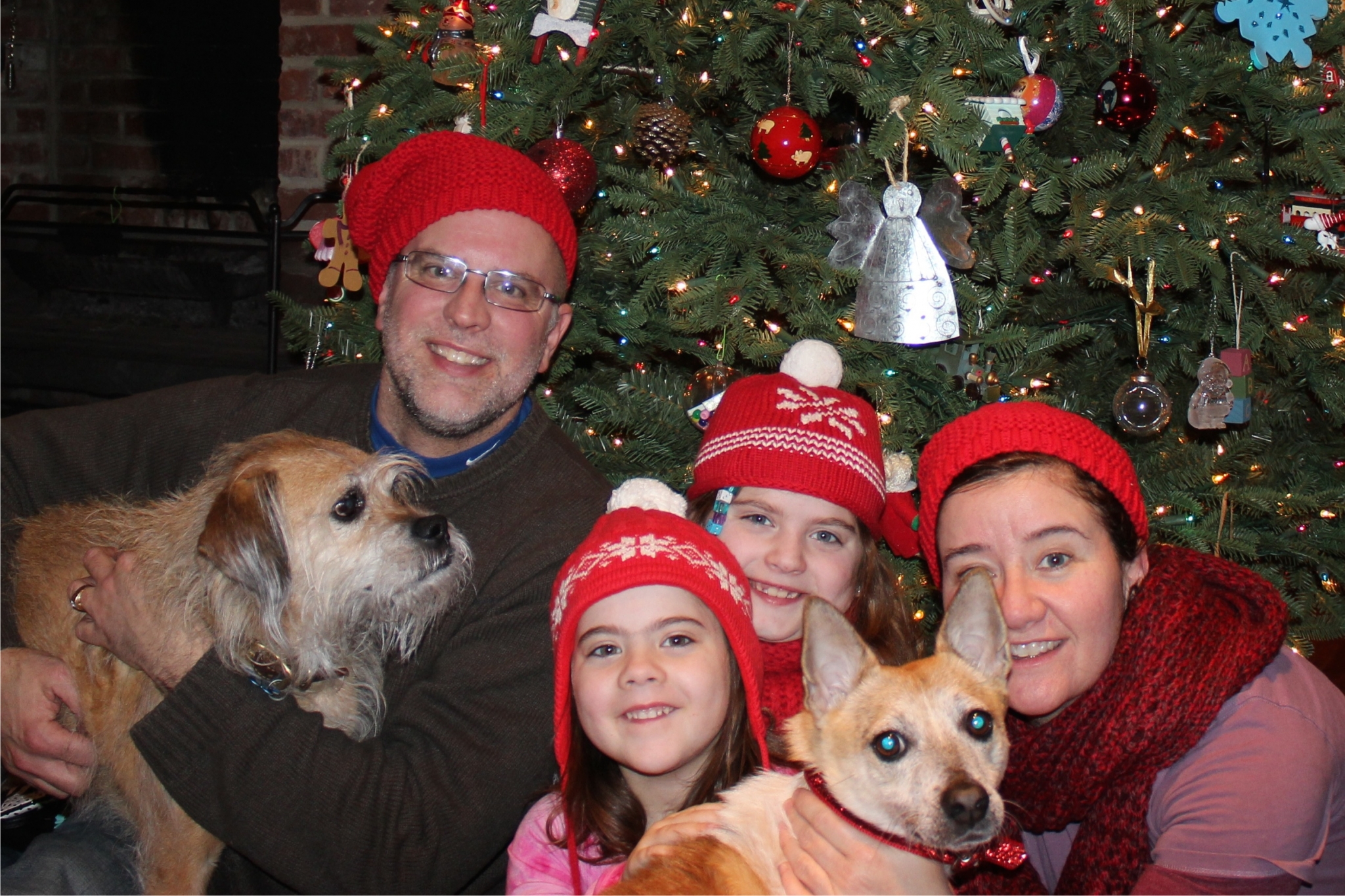 Once neglected dog finds new home in New England