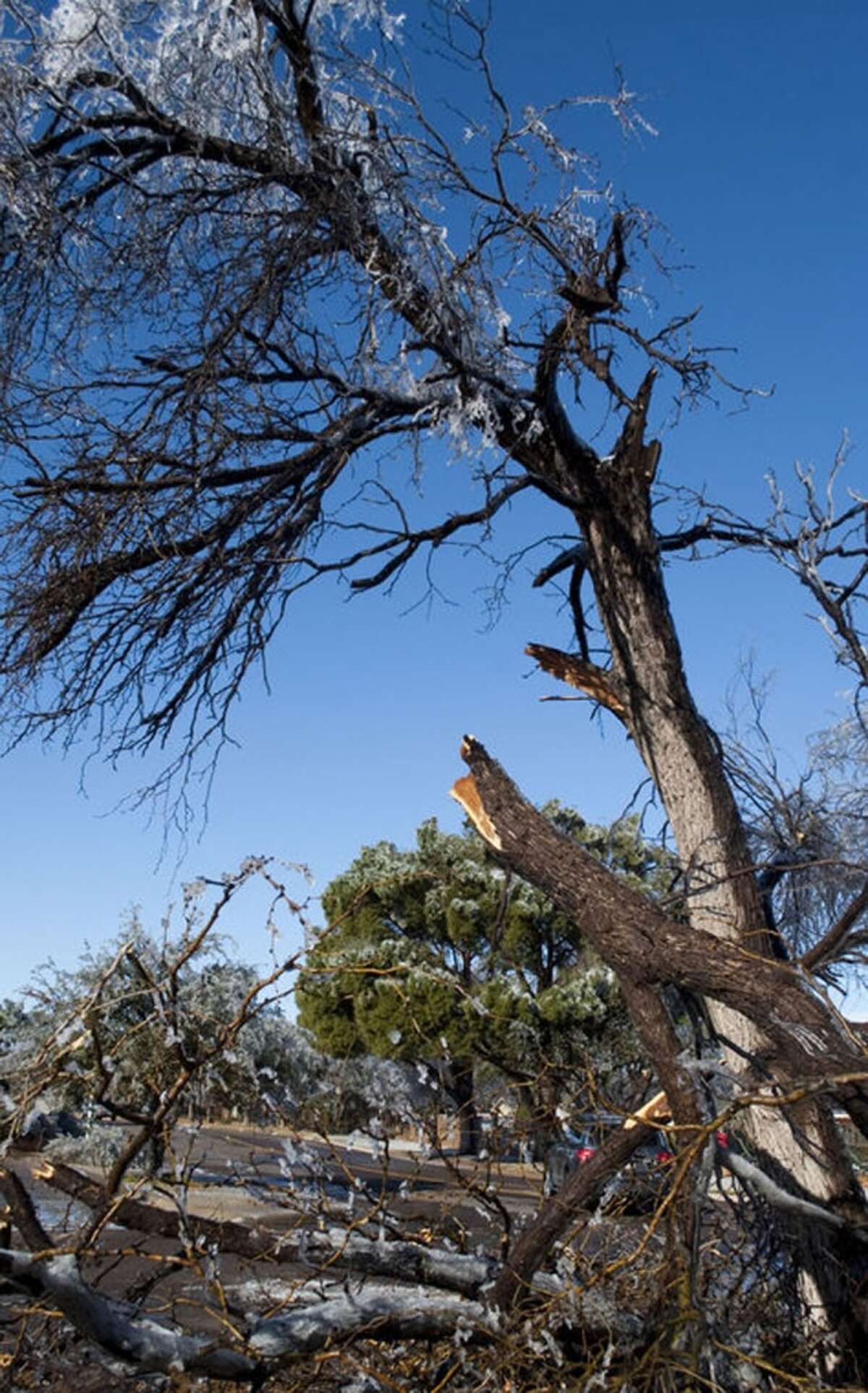 Post-New Year ice storm cripples large chunks of Texas