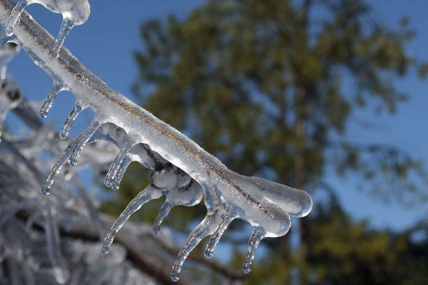 Strong cold front to bring freezing temps to parts of Texas