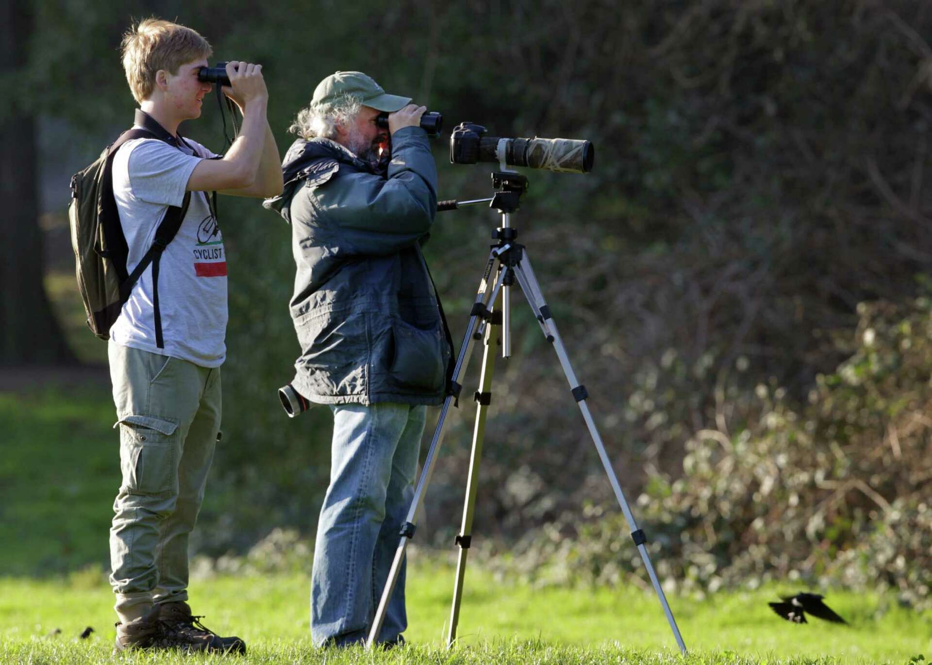 Birders scramble to top record of spotting most species in a year