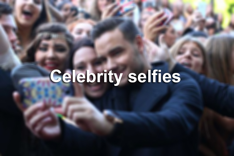 Celebrity selfies 2014