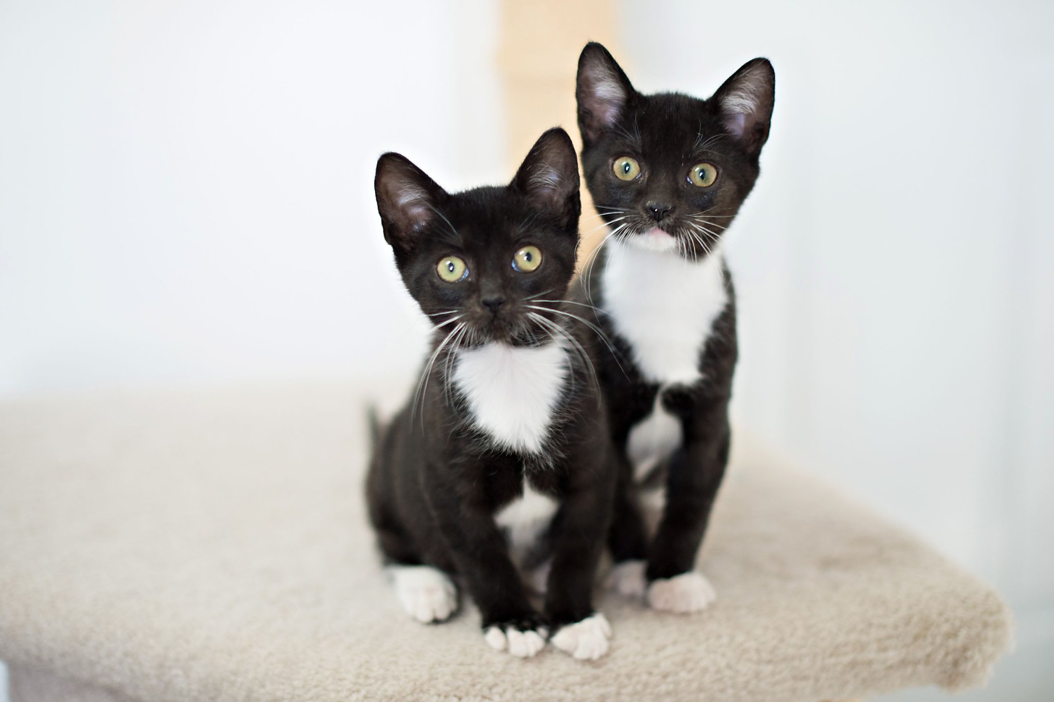 Day in Pictures, Jan. 9, 2015