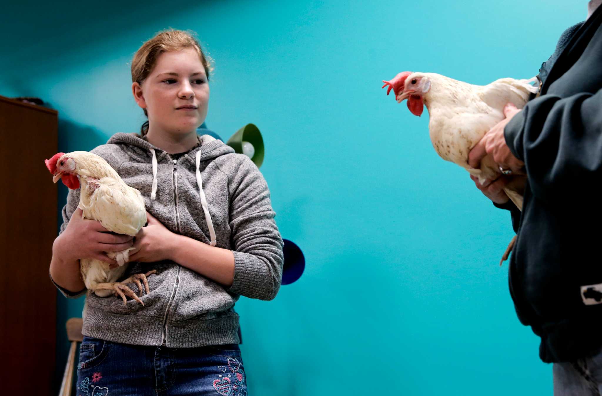 Humane Society gives California top honors for animal friendliness