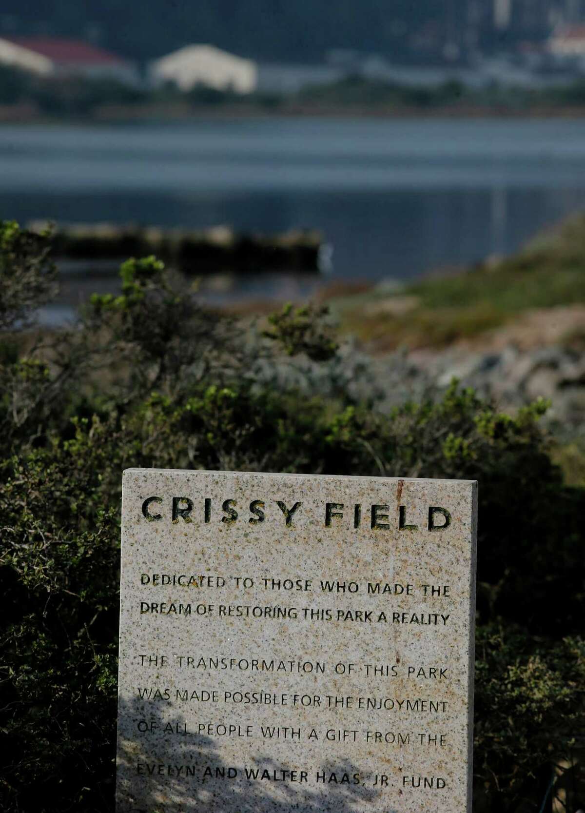 A day at Crissy Field: Hike, picnic or play at the beach