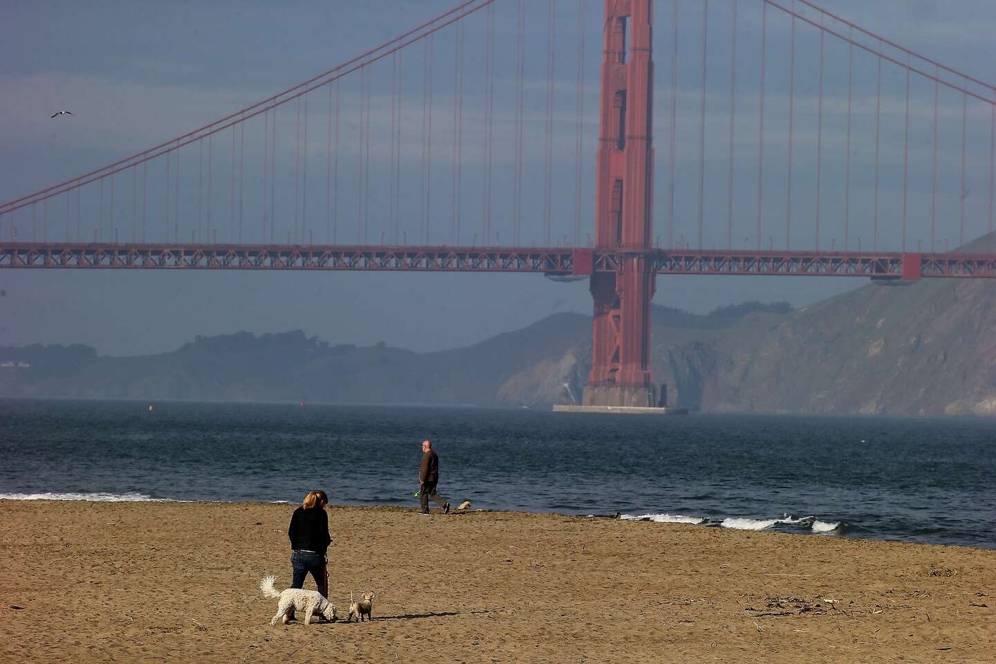 N95, P100: What do all these mask numbers mean and how do I know it's ...