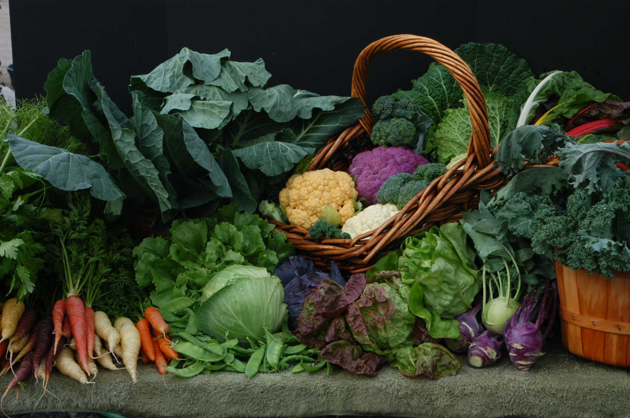 Consider growing cool- and warm-season crops